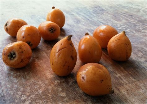 Which Fruits Are Pomes