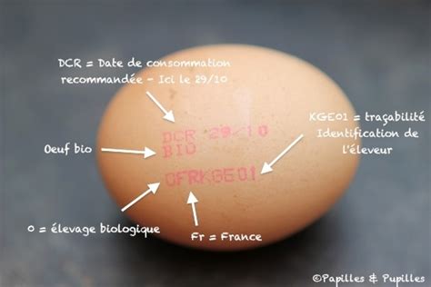 Oeufs Comment Bien Décrypter Les étiquettes