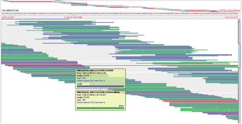 Paired End Data From An Illumina Rna Seq Read Mapping Here The Data
