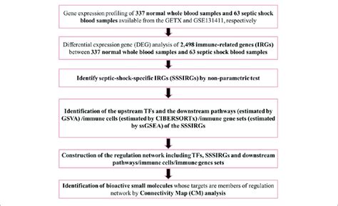 The Flowchart Of All Analysis Process Download Scientific Diagram