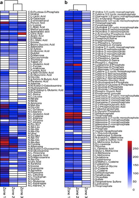Clustered Heat Map Visualizing The Substrate Utilization Patterns