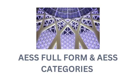 What Is Aess Full Form And Categories Of Aess Detailerpoint — Best Blog For Steel Detailer