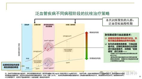 泛血管疾病抗栓治疗中国专家共识（2024版）【幻灯版】 脑医汇