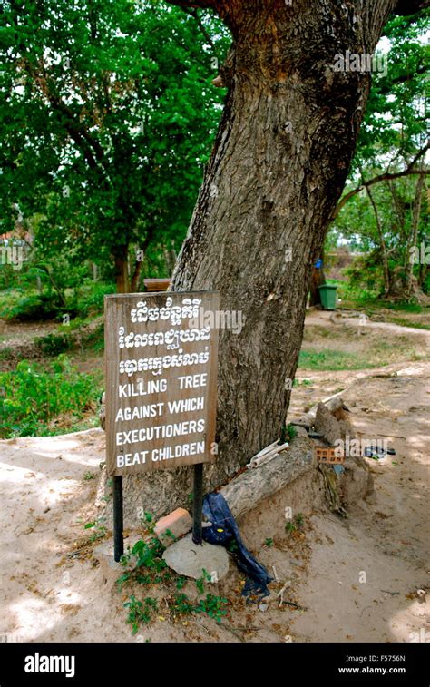 The Killing Tree Used To Carry Out Genocide By The Khmer Rouge At The