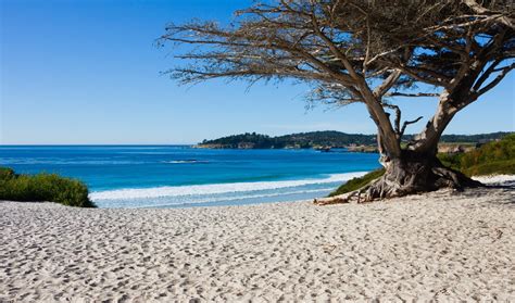 Carmel California Coast Sunrise