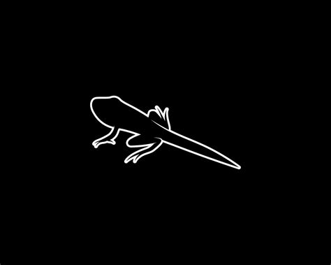Tadpole Vector Silhouette 21623302 Vector Art At Vecteezy
