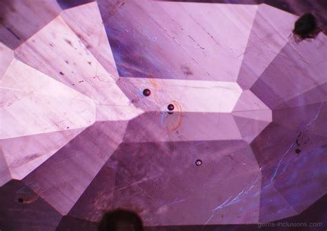 Inclusions In Ruby Gems Inclusions