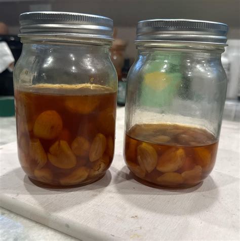 Can Botulism Begin Growing Months After Fermentation Has Started R