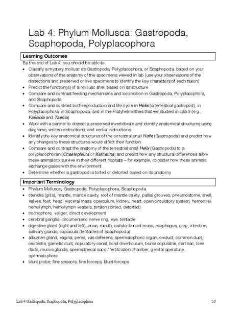 Lab 4 Exploring Phylum Mollusca Gastropoda Scaphopoda