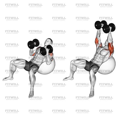 Dumbbell Incline Hammer Press On Exercise Ball Exercise Guide