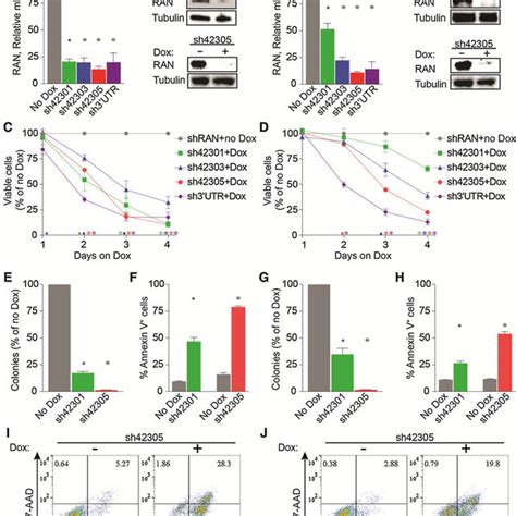Anna Eiring Professor Assistant Phd Molecular And Translational
