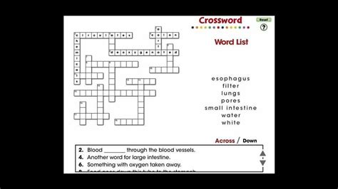 The Ultimate Digestive System Crossword Answer Key Test Your Knowledge