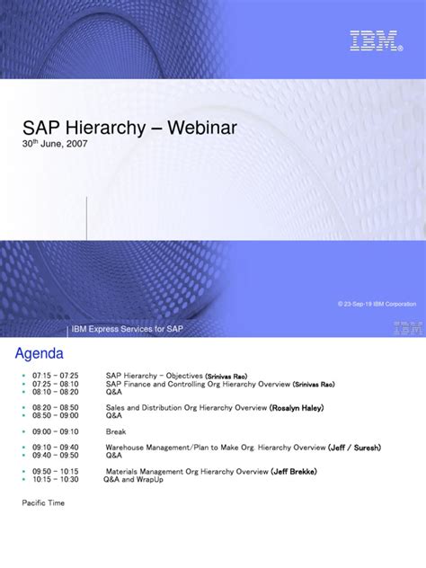 Sap Hierarchy Overview Pdf Sales Warehouse