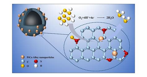 Effect Of Nitrogen Containing Carbon Shell Coated Carbon Support On The Catalytic Performance Of