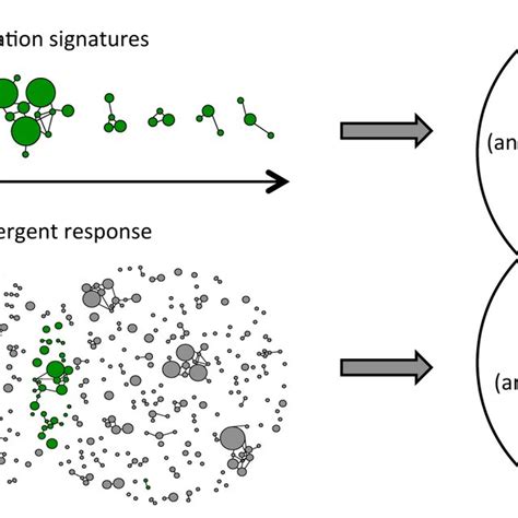 Identifying The Antigen Specific Bcr Repertoire From The Total Bcr