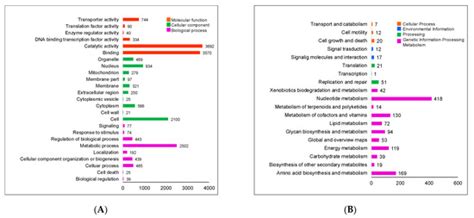 Molecules Special Issue Methodological Developments In Marine Natural Product Sciences—a
