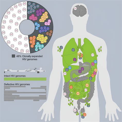 Researchers Find Genetically Intact Hiv Virus Prefers To Hide In