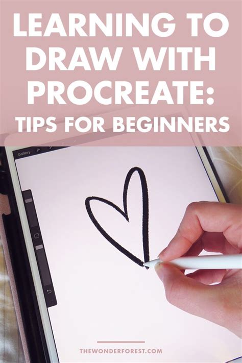 a basic beginner s guide to procreate in 2023 artofit