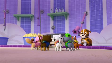 Pups Save The Runaway Kitties Quotes Paw Patrol Wiki Fandom