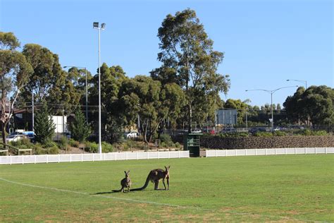 Daniel Willcocks Danielwillcocks Twitter