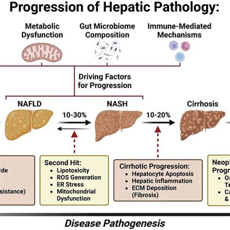 Pdf Management Of Metabolic Dysfunctionassociated Steatotic Liver