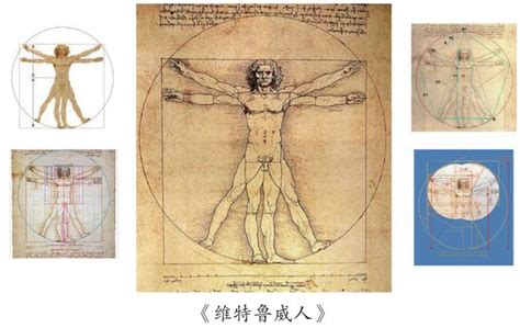 这里有你不知道的黄金分割知识吗？数学欧几里得数列线段边长新浪新闻