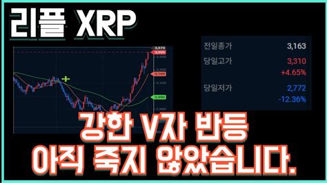리플 Xrp 강한 V자 반등 아직 죽지 않았습니다 Youtube
