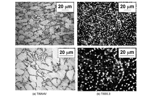 Microstructure Of The Titanium Alloys