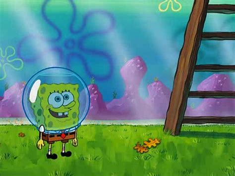 027a Prehibernation Week Spongebob Captures