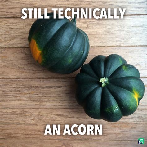 Upgrade Meme On Imgur