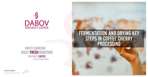 Fermentation And Drying In Coffee Cherry Processing