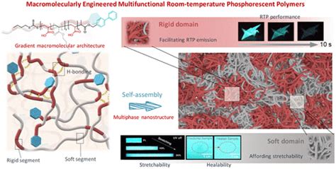 Macromolecular Engineered Multifunctional Room Temperature Phosphorescent Polymers Through