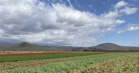 Mapinga Premium Foods Veris Investments