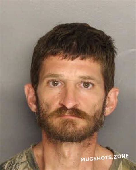 Nelson Daniel Joseph 08 25 2023 Berkeley County Mugshots Zone