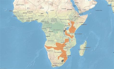 Zebras In Africa Map Zebra