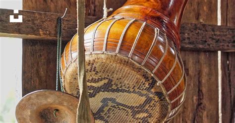 밧줄에 매달린 나무 물체의 클로즈업 사진 Unsplash의 무료 식물 이미지