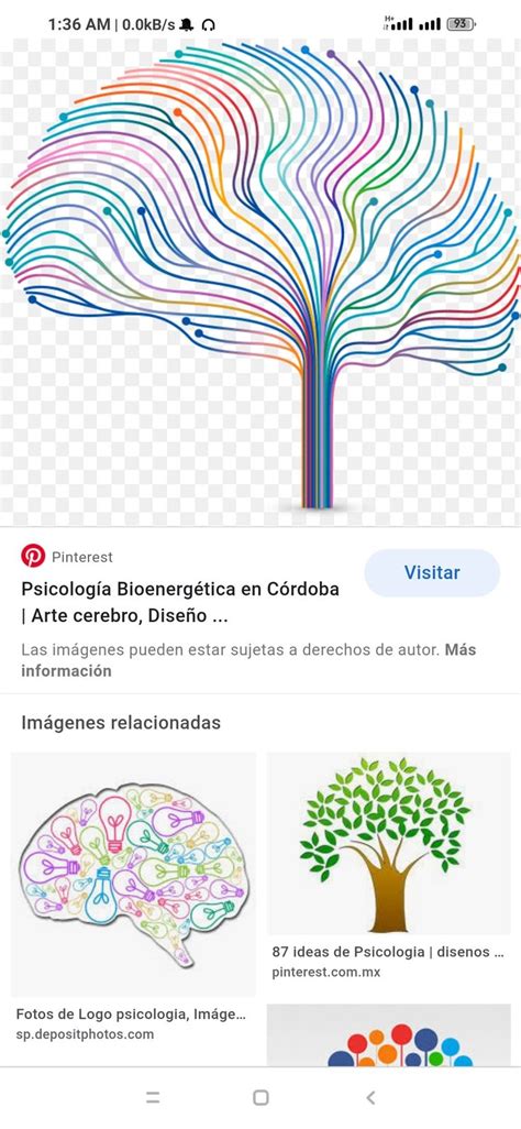 Pin De Lucas Raposo En Conectoma