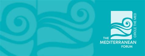 Mr Aurel Ciobanu Dordea Circle The Med Forum