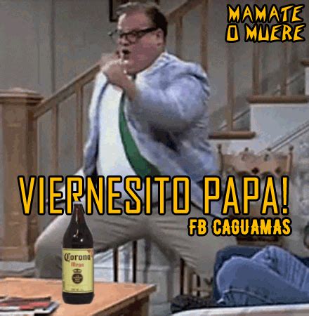 Caguama S Find And Share On Giphy