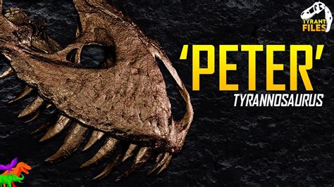 Ichthyovenator Skeleton