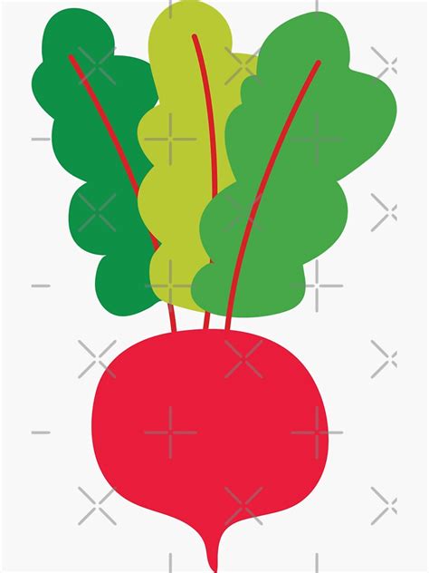 Beetroot Sticker For Sale By The Art Thrift Redbubble