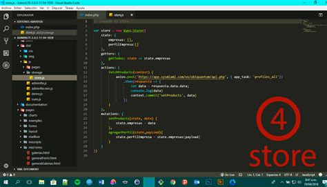 vue js problema trayendo datos de vuex stack overflow en español