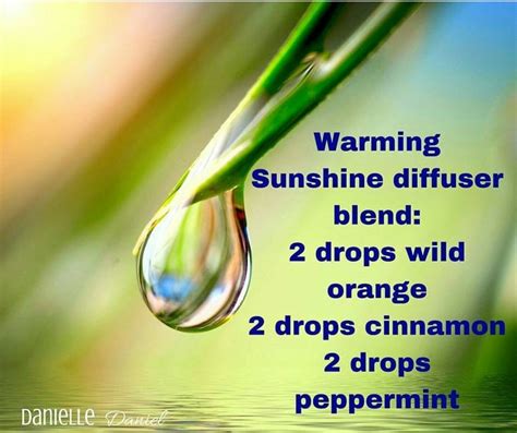 Warning Sunshine Diffuser Blend