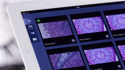 The Future Of Microscopy Advances In The Microscope Software Market