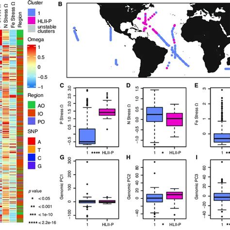 Global Rpoc1 Derived Phylogenetic Diversity Of Prochlorococcus Hlii A