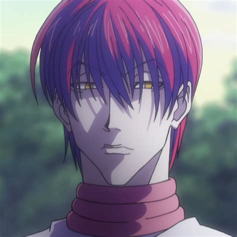 Image Hisoka Gipng Hunterpedia Fandom Powered By Wikia