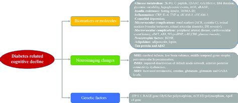The Diagram Of Possible Biomarkers In Diabetes Related Cognitive Decline Download Scientific