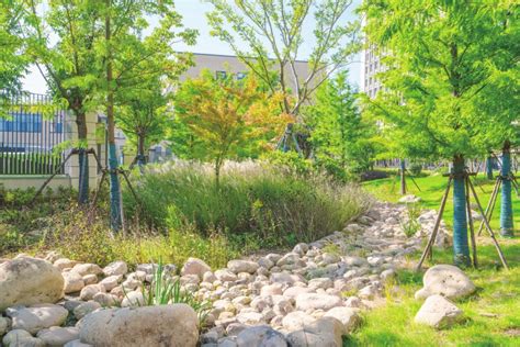 昆山发布4项海绵城市建设技术指南，打造会“呼吸”的智慧城市 昆山市人民政府