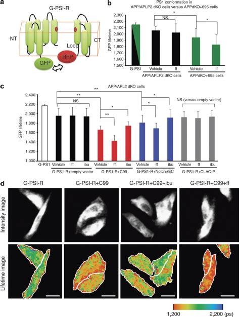 Substrate Docking To γ Secretase Allows Access Of γ Secretase Modulators To An Allosteric Site