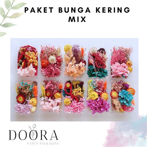 Jual Paket Bunga Kering Mix Shopee Indonesia